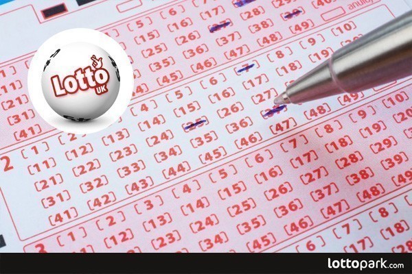 The Health Lottery: What It Is and Where You Can Play It - LottoPark